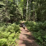 Red Spruce Knob, West Virginia - 233 Reviews, Map | AllTrails