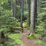 Red Spruce Knob, West Virginia - 233 Reviews, Map | AllTrails