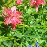 Kicking Horse to Nicomen Lake, British Columbia, Canada - 28 Reviews ...