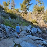 Way of the Mono Trail, California - 457 Reviews, Map | AllTrails