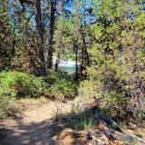 Fall River Loop, Oregon - 426 Reviews, Map | AllTrails