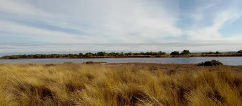 2023 Best Beach Trails in Indented Head | AllTrails