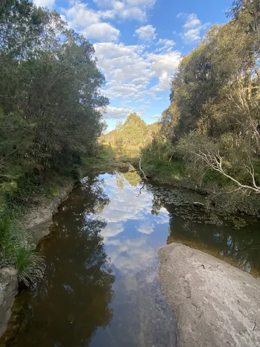 Best Hikes and Trails in Berrinba Wetlands | AllTrails