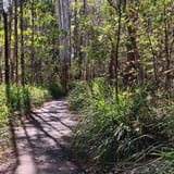 Coombabah Reserve and Mangrove Walk, Queensland, Australia - 18 Reviews ...