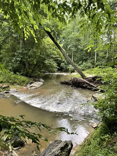 10 Best Walking Trails in Reston | AllTrails