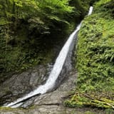 Lydford Gorge Walk, White Lady Waterfall, and Lydford Castle Circular ...