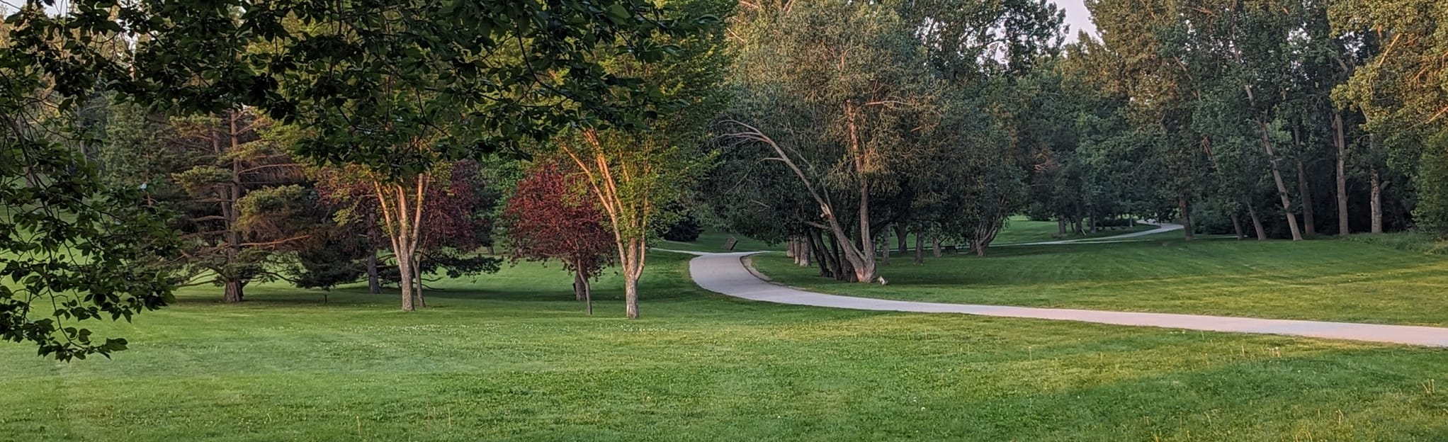 Confederation Park Trail, Alberta, Canada - 502 Reviews, Map | AllTrails