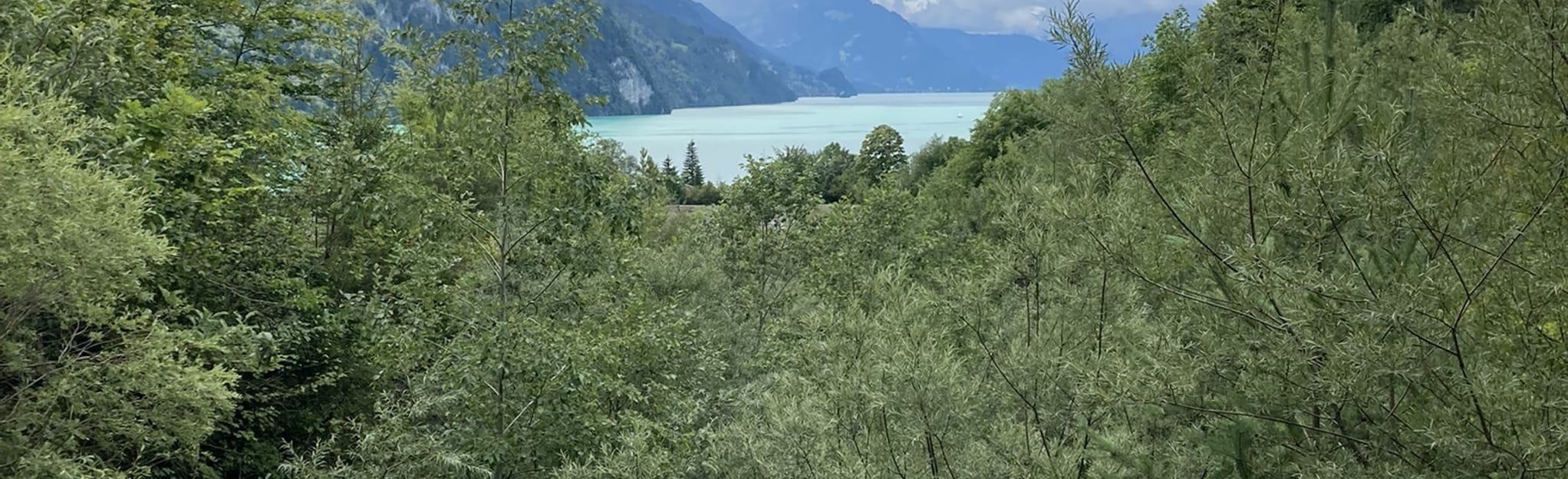 Brienzer Strandweg - Wildpark: 17 foto's - Bern, Zwitserland | Wandelen ...