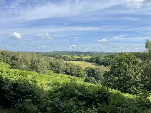 Best Hikes and Trails in National Trust's Downs Banks | AllTrails