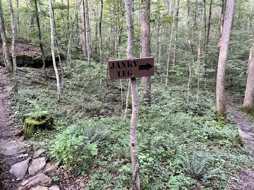 Best Hikes and Trails in Wolf Creek Park | AllTrails