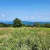 Whigg Meadow via Mud Gap Trail, North Carolina - 125 Reviews, Map ...