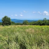 Whigg Meadow via Mud Gap Trail, North Carolina - 125 Reviews, Map ...