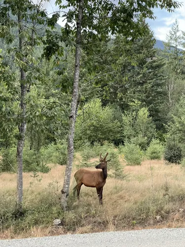 Best Hikes and Trails in Three Forks Park | AllTrails