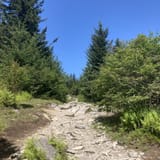 Mount Rogers Loop Trail, Virginia - 388 Reviews, Map | AllTrails
