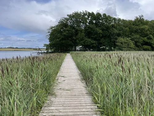 2023 Best Camping Trails in Taulov | AllTrails