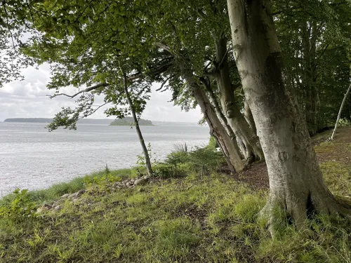 2023 Best Camping Trails in Taulov | AllTrails