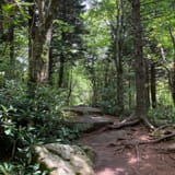 Black Rock Trail, North Carolina - 446 Reviews, Map | AllTrails