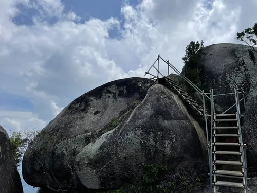 2023 Best Forest Trails in Gunung Datuk Recreational Forest | AllTrails