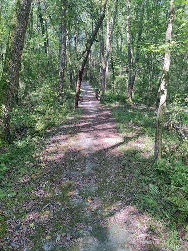 Best Walking Trails in Fort Benning | AllTrails