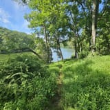 Muddy Run Lakeshore Trail, Pennsylvania - 358 Reviews, Map | AllTrails