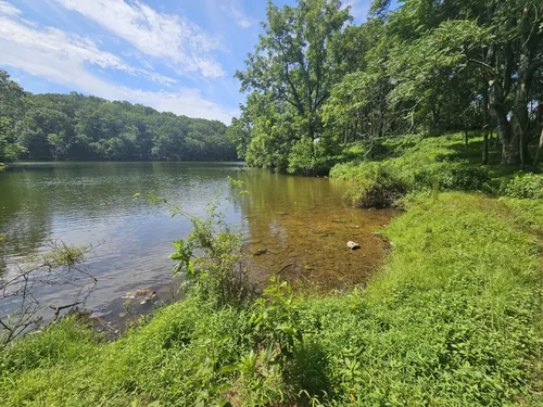 Best Hikes and Trails in Muddy Run Park | AllTrails