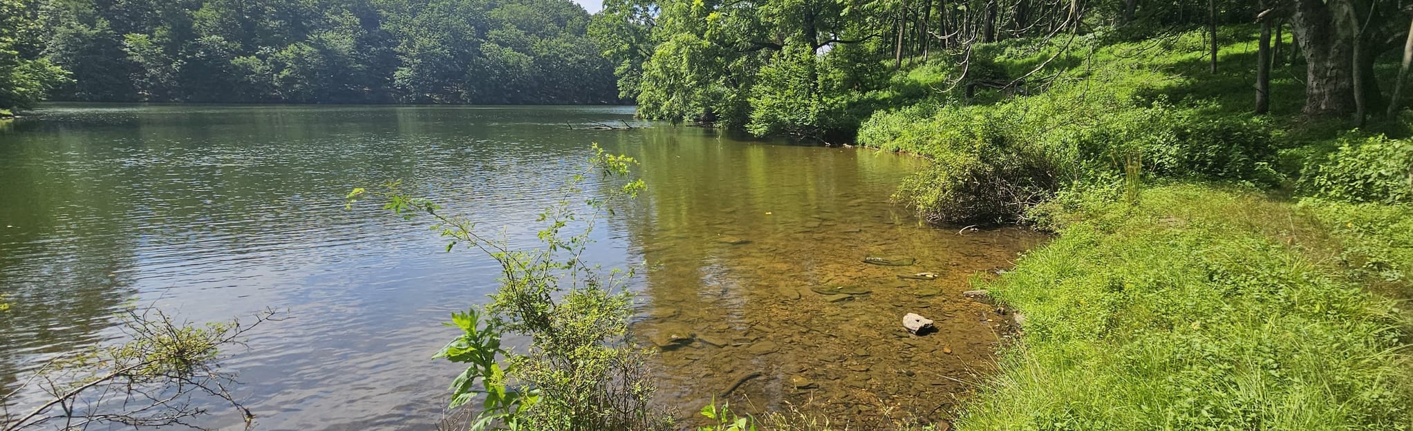 Muddy Run Lakeshore Trail, Pennsylvania - 293 Reviews, Map | AllTrails