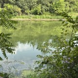 Miesville Trail, Minnesota - 136 Reviews, Map | AllTrails