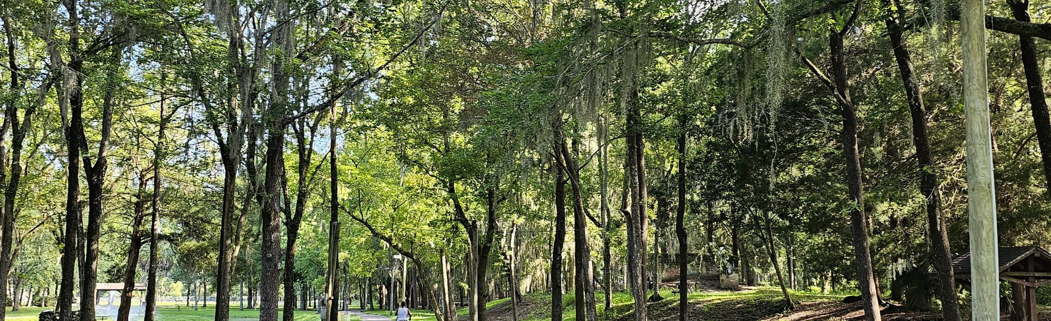 Tom Varn Park Loop: 56 foto - Florida | AllTrails