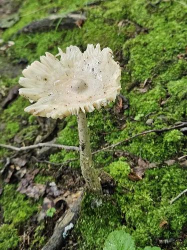 Best Hikes and Trails in Wonder Lake State Park | AllTrails