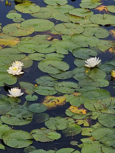 Best Hikes and Trails in Wonder Lake State Park | AllTrails