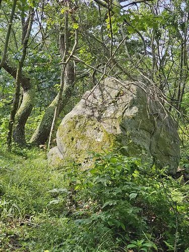 Best Hikes and Trails in Wonder Lake State Park | AllTrails