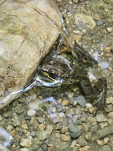 Best Hikes and Trails in Wonder Lake State Park | AllTrails