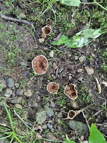 Best Hikes and Trails in Wonder Lake State Park | AllTrails