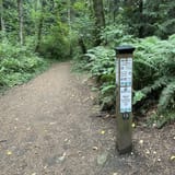 Japanese Gulch Loop Trail, Washington - 1,177 Reviews, Map | AllTrails