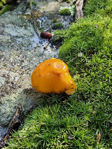 Best Hikes and Trails in Wonder Lake State Park | AllTrails