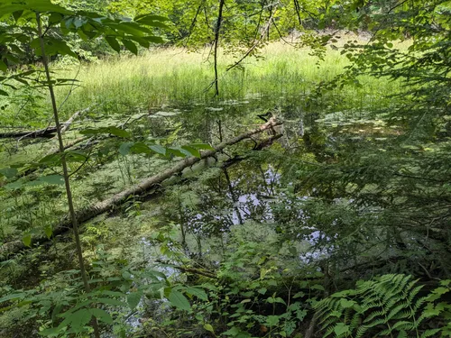 Best Lake Trails in West Grey | AllTrails