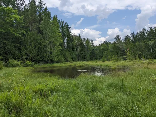 Best Lake Trails in West Grey | AllTrails