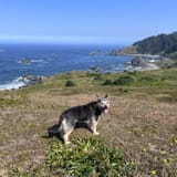 House Rock Viewpoint - Cape Ferrelo Trail, Oregon - 175 Reviews, Map ...