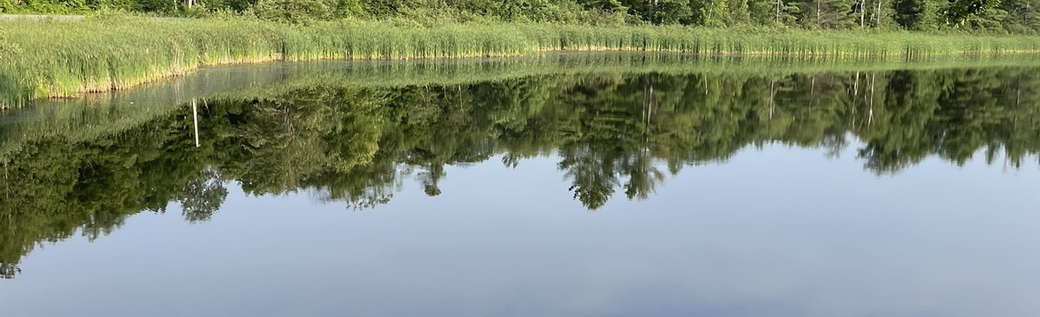 Macomb State Park Trail, 36 Photos - État de New York | AllTrails