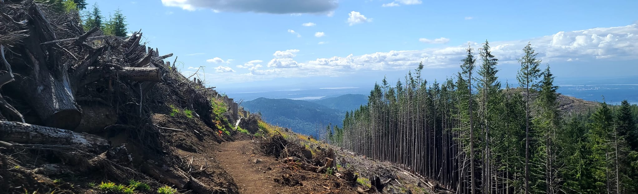 West Tiger #1 via Preston and Tiger Mountain Trail Loop: 996 foton ...