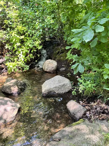 Best Lake Trails in Peabody | AllTrails