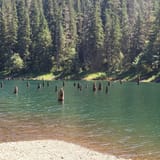 Spider Lake Trail, Washington - 240 Reviews, Map | AllTrails