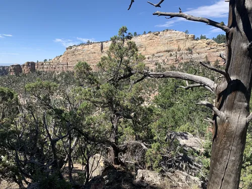 Best Hikes and Trails in Ten Sleep | AllTrails