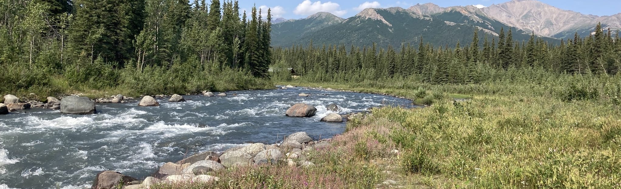 Riley Creek Trail, Alaska - 13 Reviews, Map | AllTrails