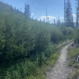 Sawtooth Lake, Montana - 193 Reviews, Map | AllTrails