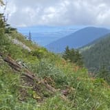 PJ Lake Trail, Washington - 155 Reviews, Map | AllTrails
