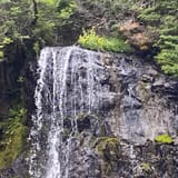 PJ Lake Trail, Washington - 155 Reviews, Map | AllTrails