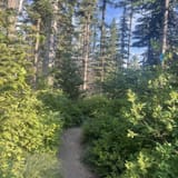 Mount Kit Carson Trail, Washington - 867 Reviews, Map | AllTrails