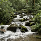 Cosby Nature Trail, Tennessee - 492 Reviews, Map | AllTrails