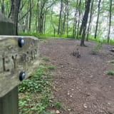 Blue Ridge Gap to Sharp Top, Georgia - 99 Reviews, Map | AllTrails